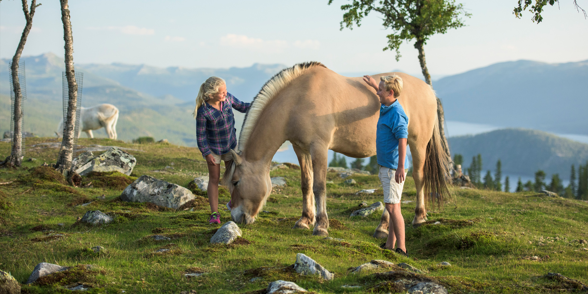 Hesteridning - Nesbyen Booking